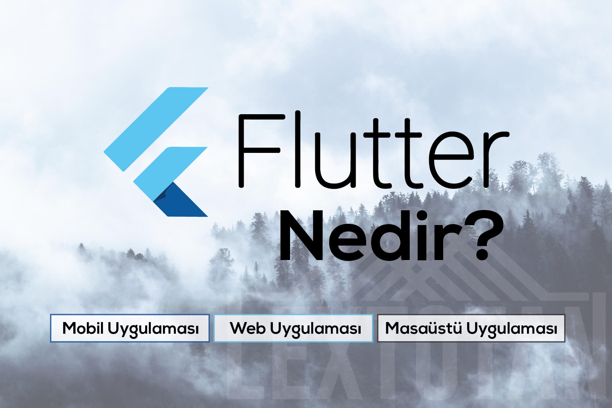 Flutter Nedir | Lextotan || Evren Ozdemir Flutter Nedir | Lextotan || Evren Ozdemir